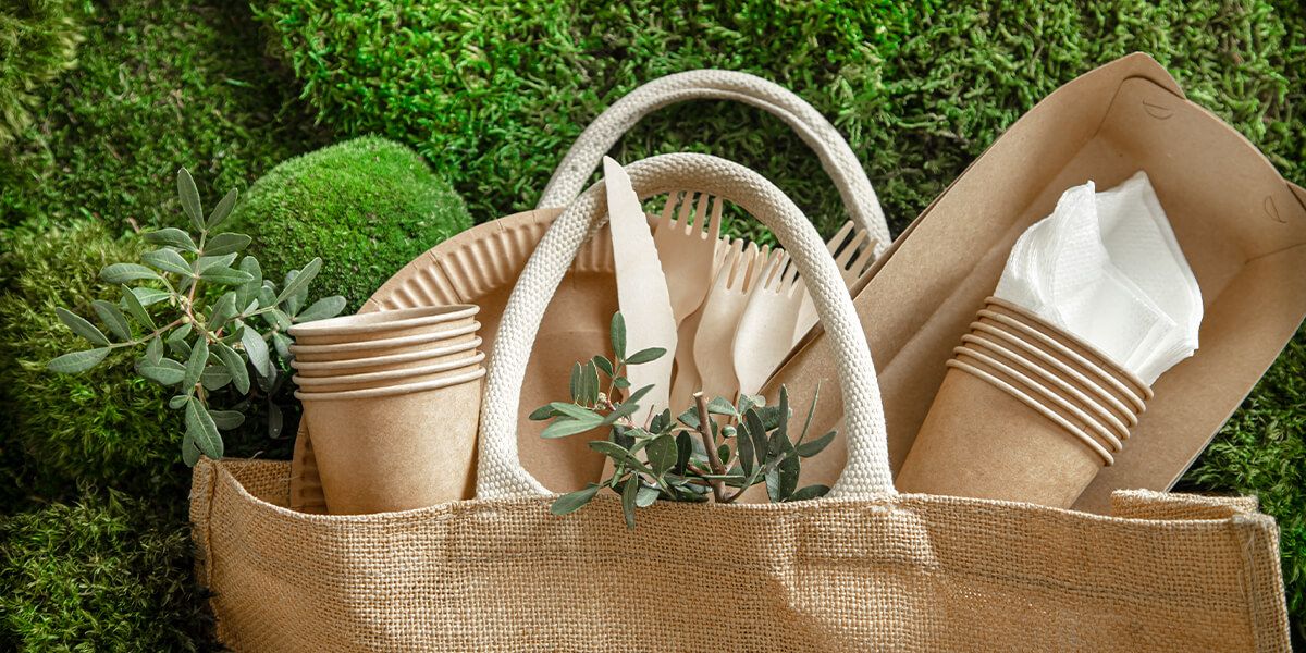 Green Shopping Made Easy: Find the Best Eco-Friendly Products on Shopee ...