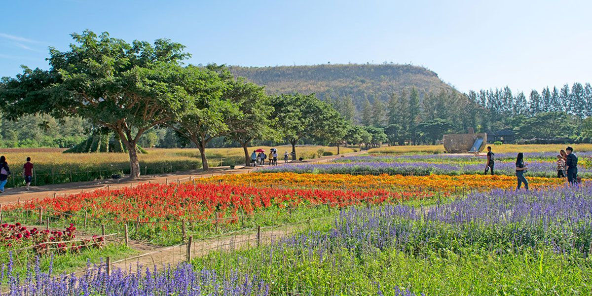 Jim Thompson Farm: A First-Rate Eco-Tourism Place in Korat | The Bear ...