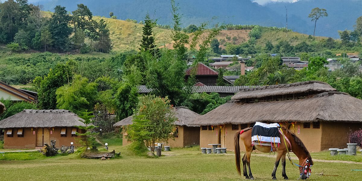 Travel to Pai Guide: Everything You Need to Know | The Bear Travel